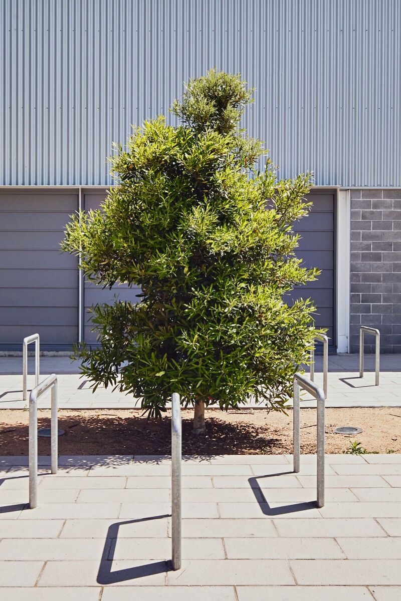 Perry Park Recreation Centre - Hutchinson Builders