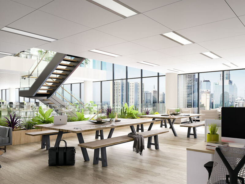 31 Duncan Street - Hutchinson Builders