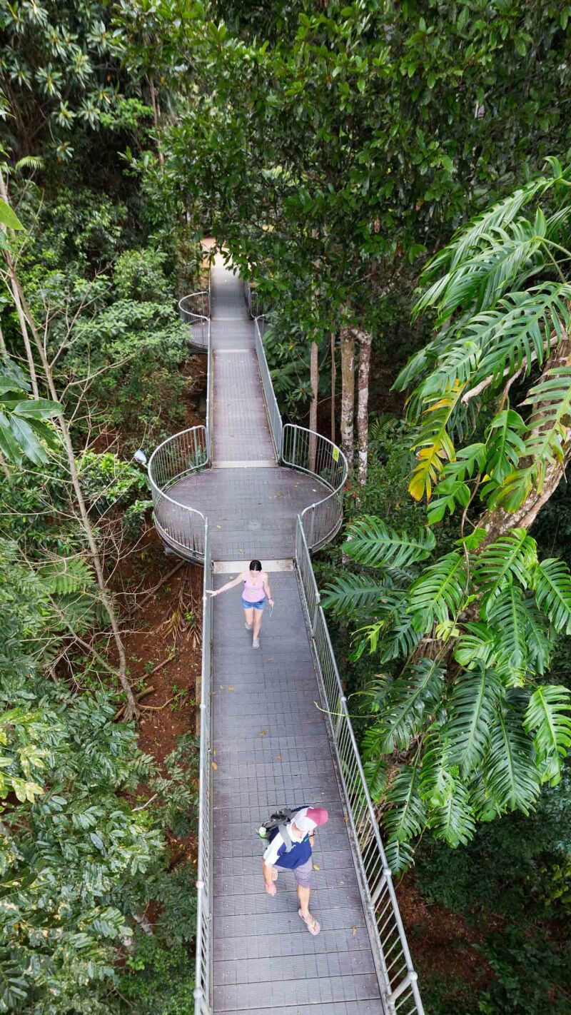 Mamu Tropical Skywalk - Hutchinson Builders