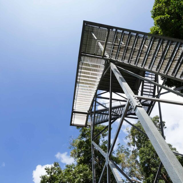 Mamu Tropical Skywalk - Hutchinson Builders